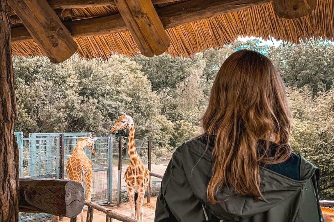 Ready to Visit Melbourne Zoo? Here's the Info You Need