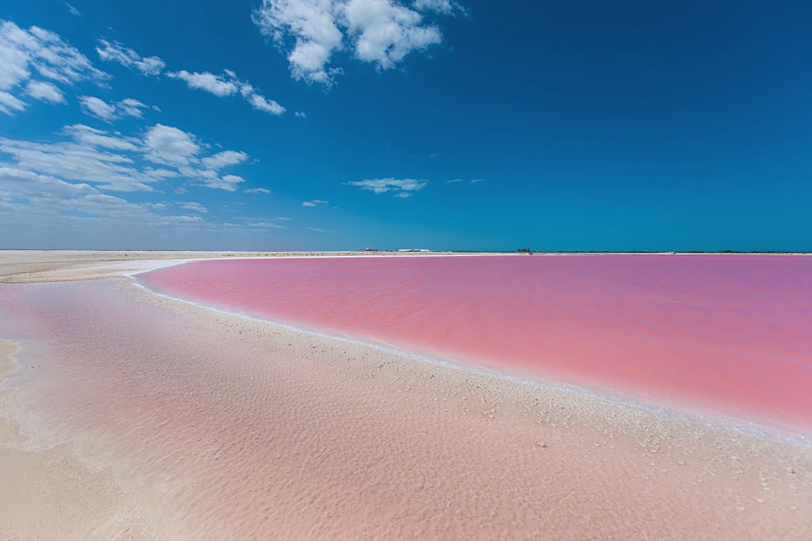 Unveiling the Fascinating Secret of the Pink Lake in Australia
